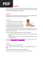 Anatomía de la Arteria Pedia del Pie | PDF | Pie | Dedo del pie