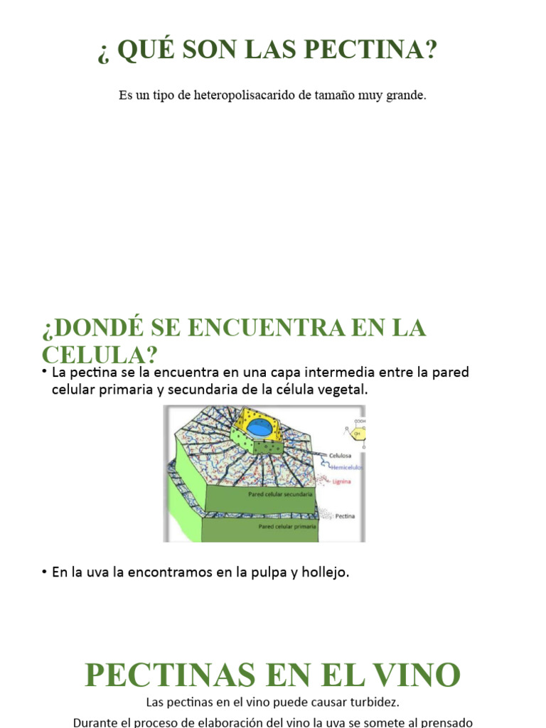 QUÉ ES UNA PECTINA | PDF