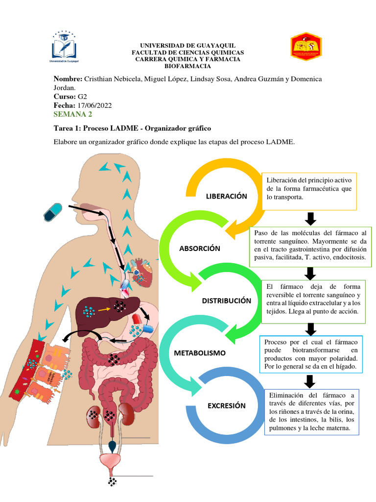 Proceso LADME en Biofarmacia | PDF | Ciencia y matemáticas