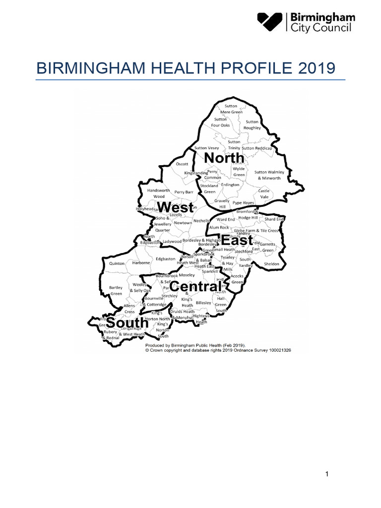 Birmingham Health Profile 2019 | PDF | Chronic Obstructive Pulmonary ...