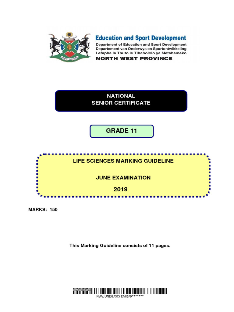 Life Sciences GR 11 MEMO | PDF | Cellular Respiration | Biology