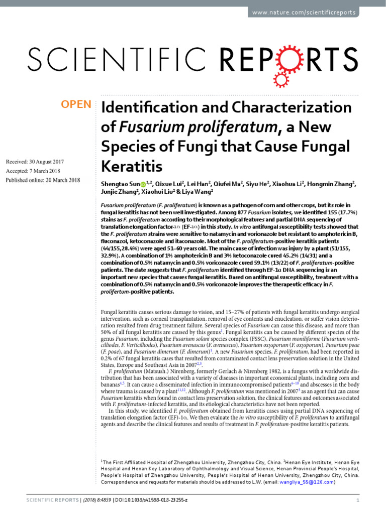 Keratitis Pdf Fungus Cornea