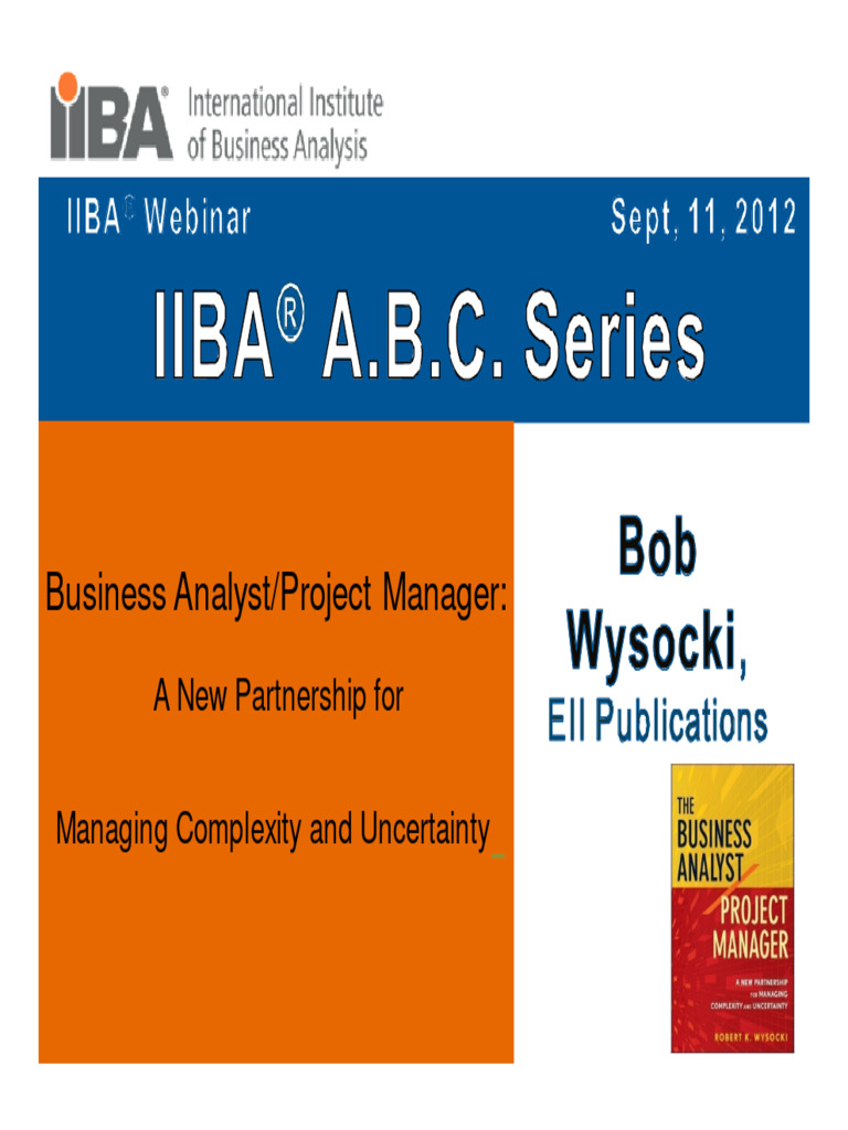 Business Analyst Project Manager Download Free PDF Project
