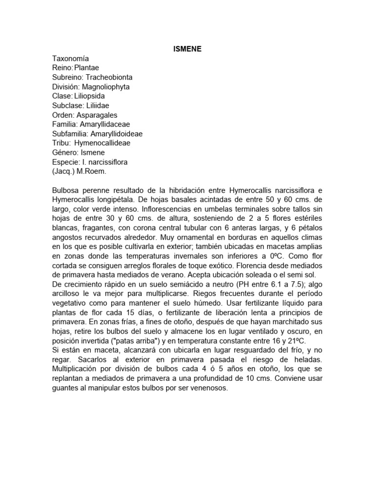 Ismene narcissiflora: Cultivo y Cuidado | PDF | Ciencia y matemáticas