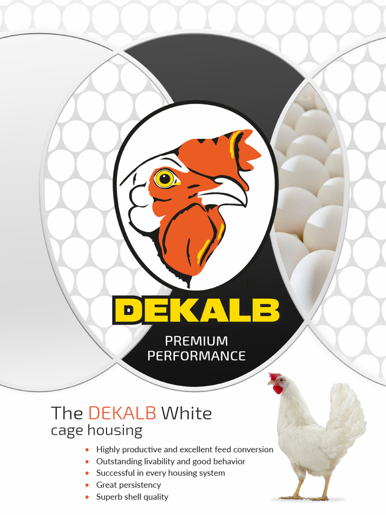 Dekalb White CS Product Leaflet Cage en L1211 | PDF | Poultry Farming ...