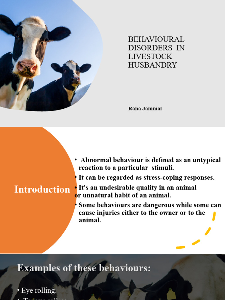 Understanding Livestock Behavioral Disorders | PDF | Cattle | Dairy Cattle