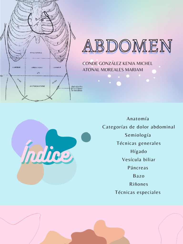 Guía Clínica del Abdomen | PDF | Abdomen | Medicina CLINICA