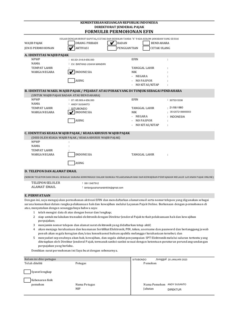 Form Permohonan EFIN (PDF Isian) | PDF