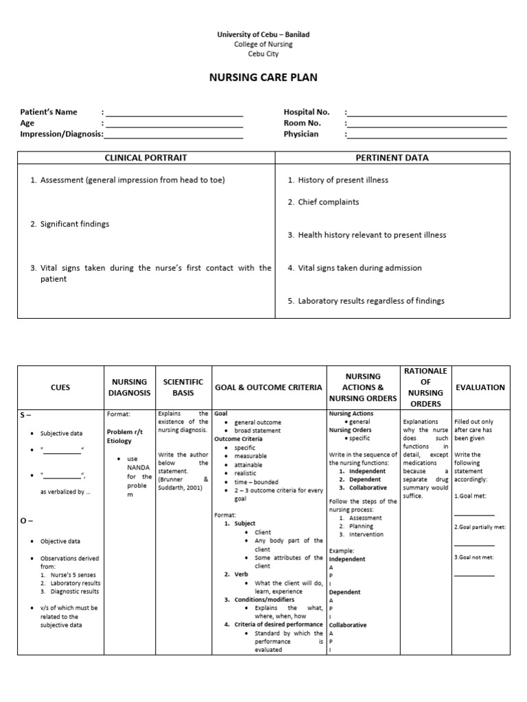 Nursing Care Plan Template | PDF | Nursing | Medical Diagnosis
