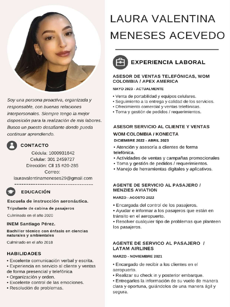 Laura Meneses CV | PDF