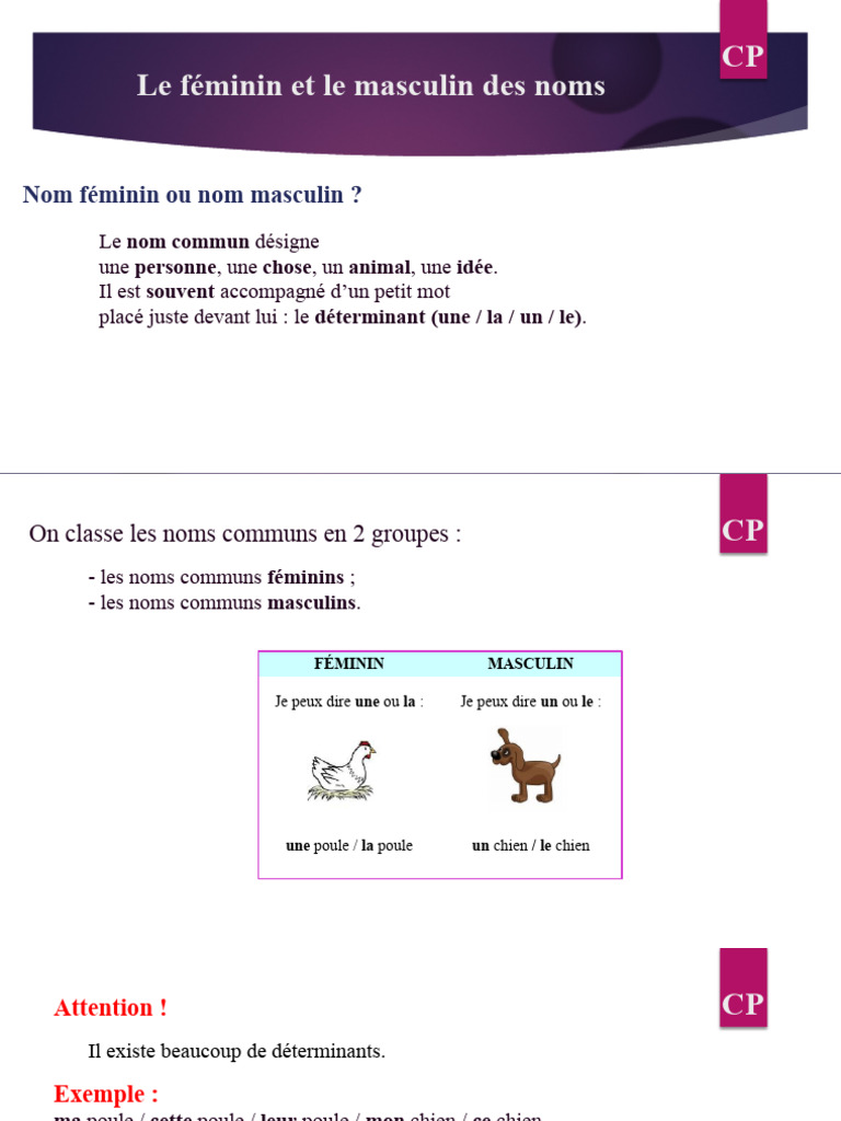 Le Féminin Et Le Masculin Des Noms | PDF