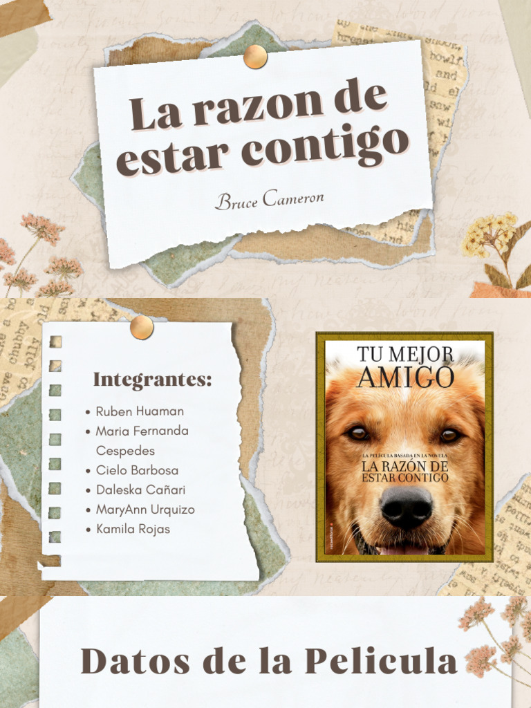 La Razon de Estar Contigo | PDF | Amor