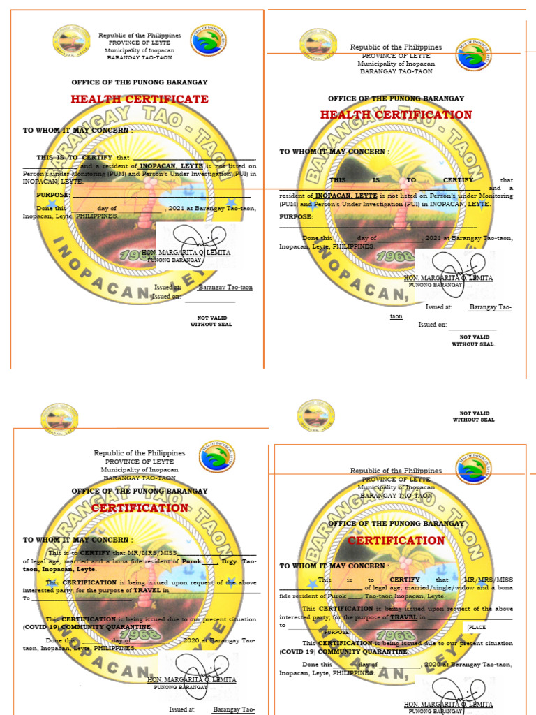 Certification For Travel | PDF