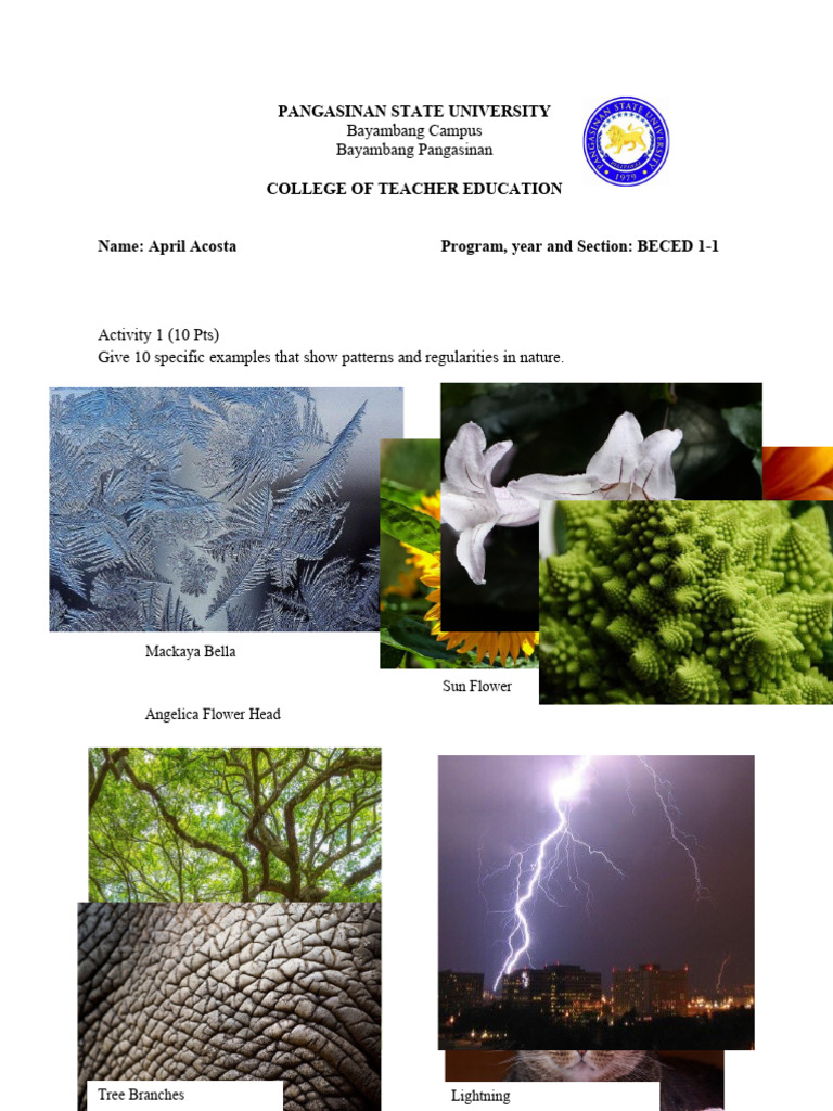 April Acosta MMW (Act. and Peta 1) | PDF