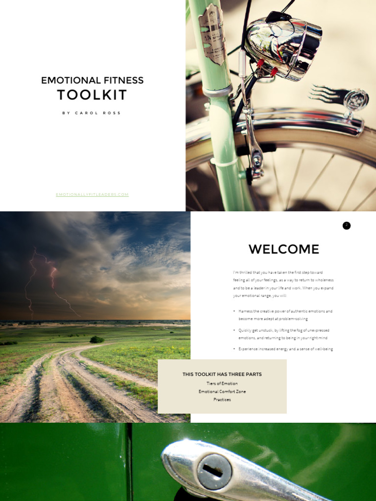 Emotional Fitness Toolkit for Leaders | PDF | Emotions | Feeling
