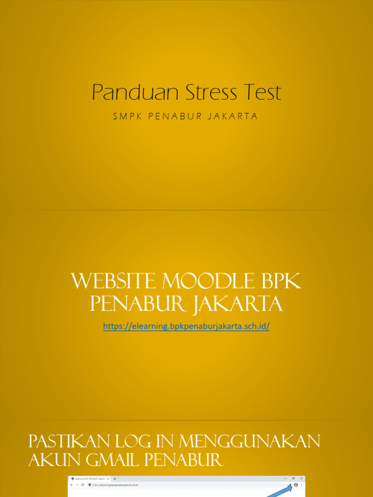 Panduan Stress Test | PDF