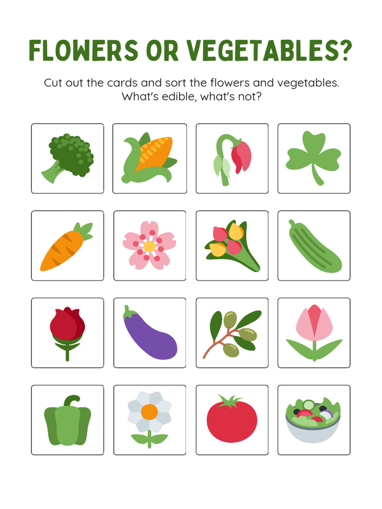 Flowers, Fruit or Vegetables Sorting Worksheet | PDF