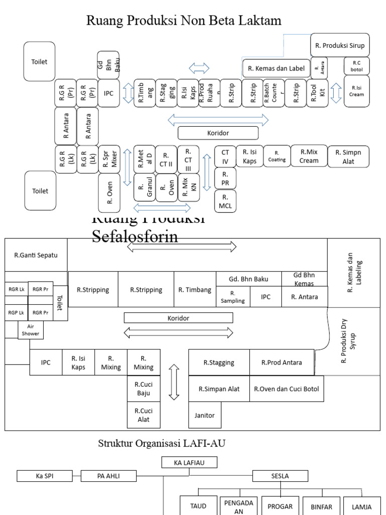 Presentation1 1 | PDF