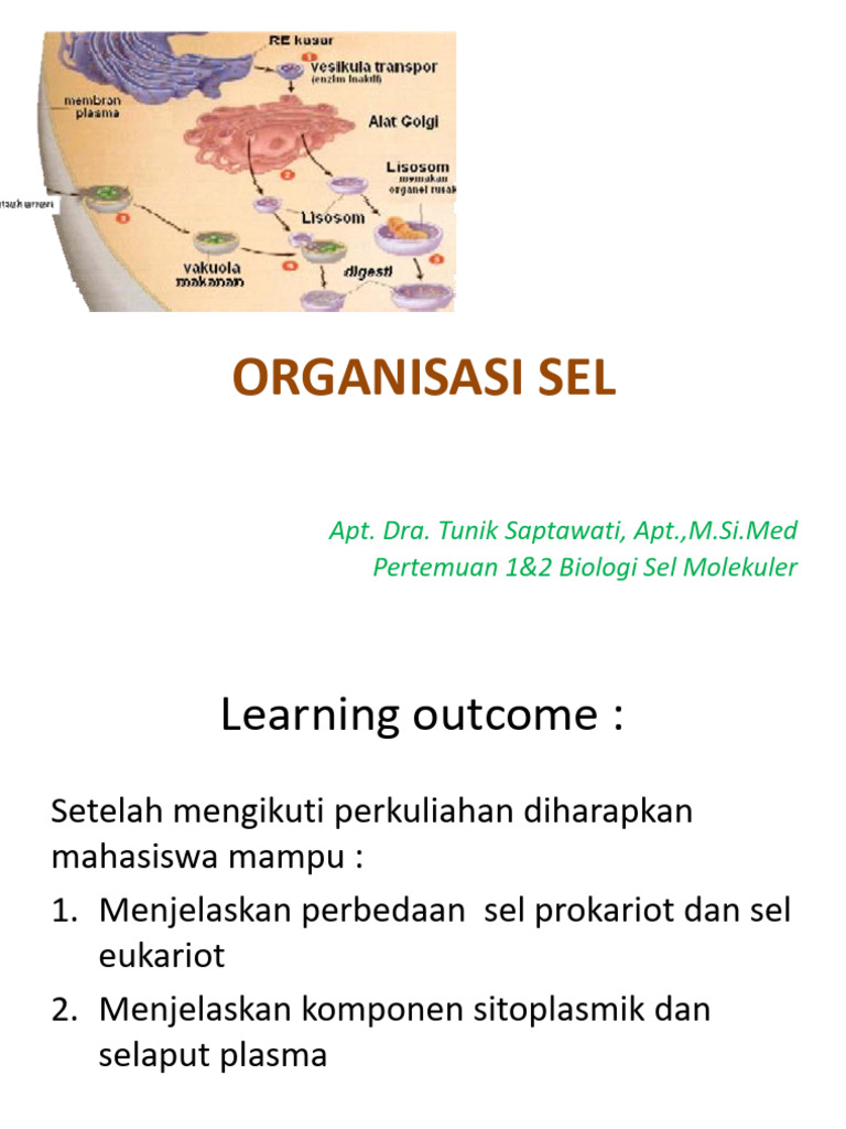 Struktur dan Fungsi Sel Eukariot dan Prokariot | PDF | Kesehatan Holistik