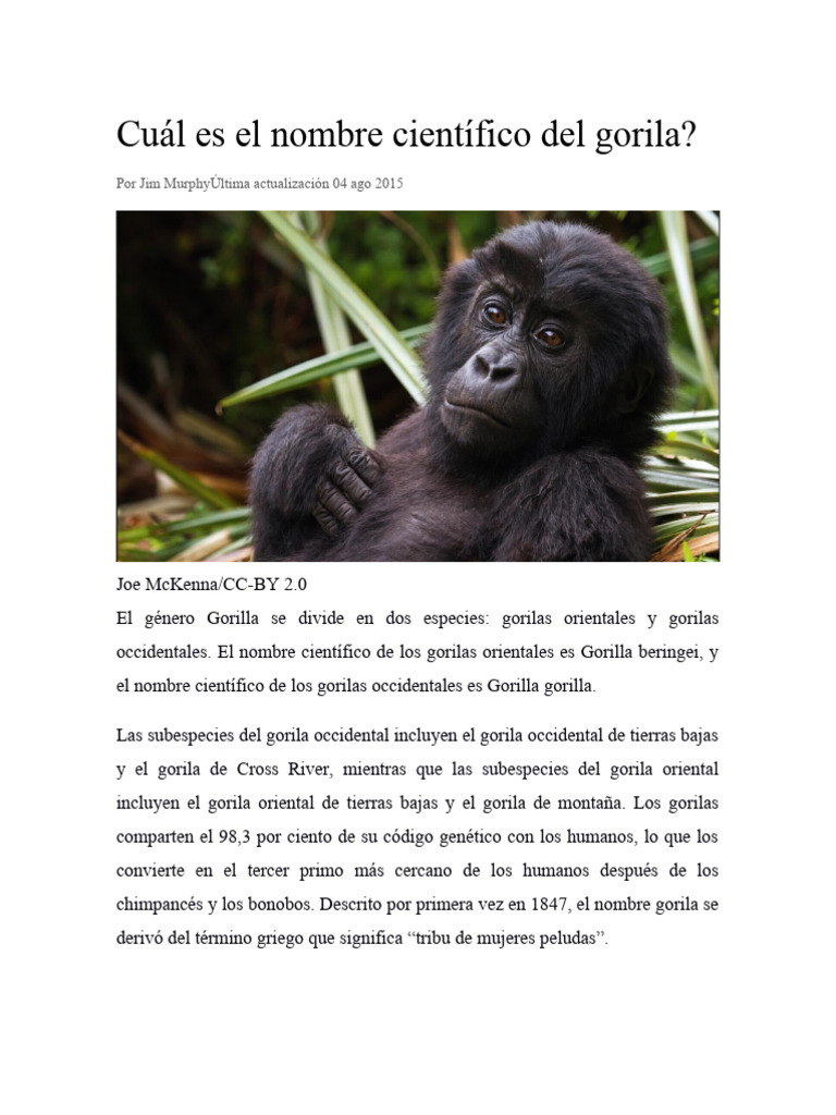 Cuál Es El Nombre Científico Del Gorila | PDF