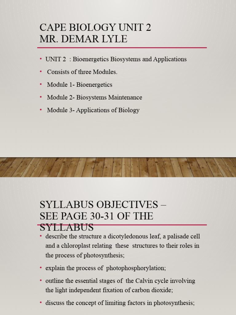Photosynthesis - Part 1 | PDF | Photosynthesis | Leaf