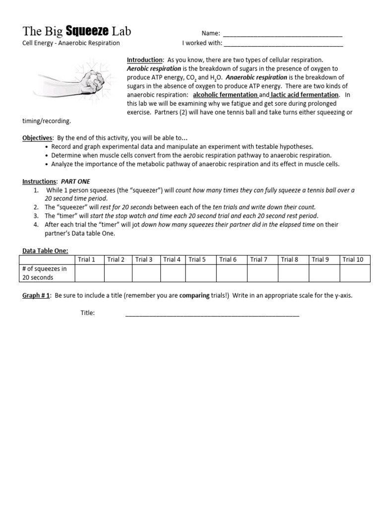 The Big Squeeze Lab | PDF | Physical Fitness | Physical Exercise