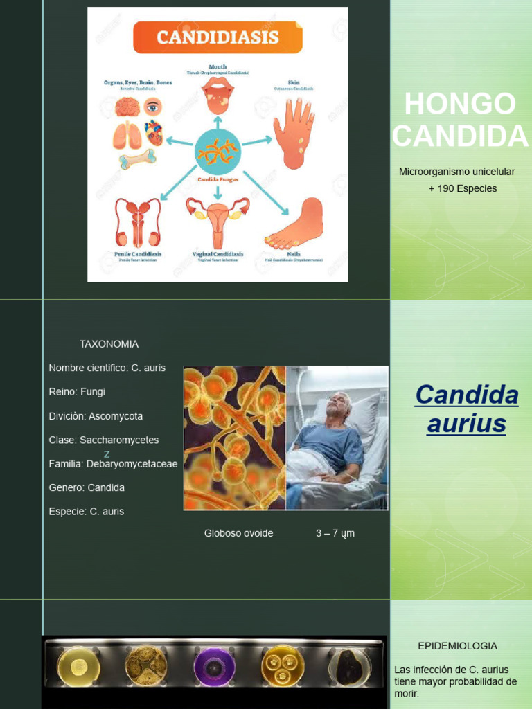 Candidiasis | PDF | Candida (hongo) | Hongo