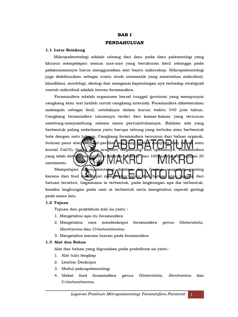 LP 3 Mikropal Ridhoo | PDF | Sains & Matematika