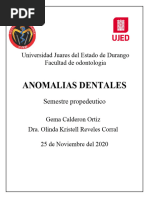 Rizolisis Dental 2 | PDF | Hueso | Inflamación