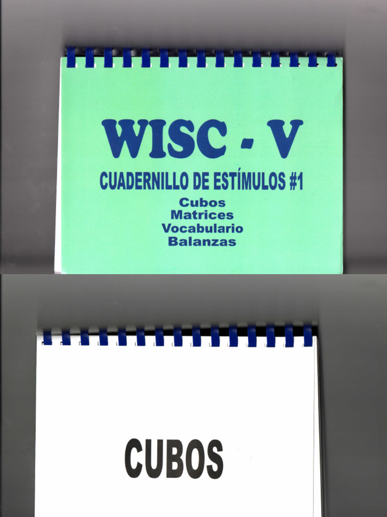 Cuadernillo Wisc IV Cubos | PDF