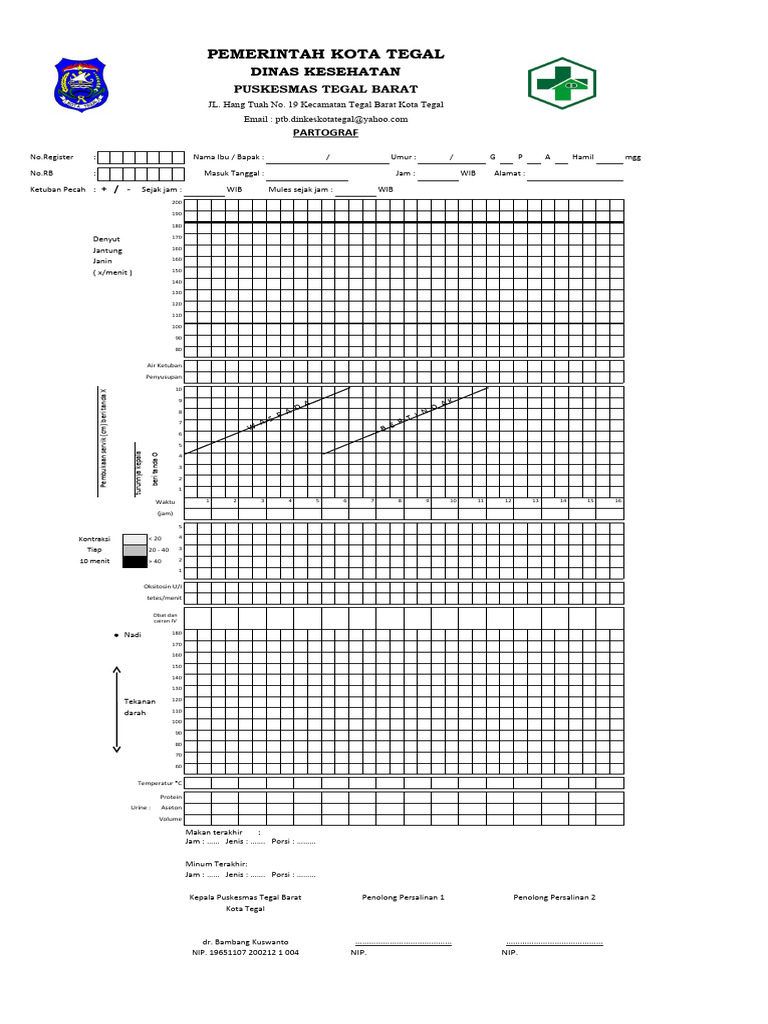 Panduan Pengisian Partograf Terbaru | PDF