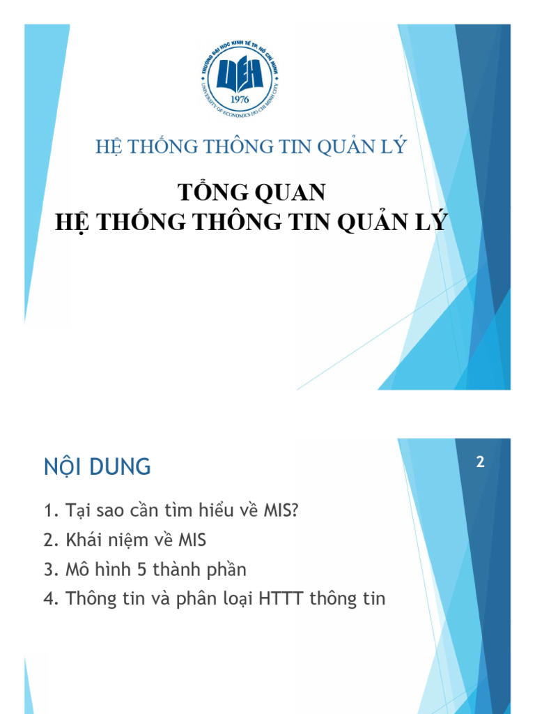 Gioi Thieu HTTT QL | PDF