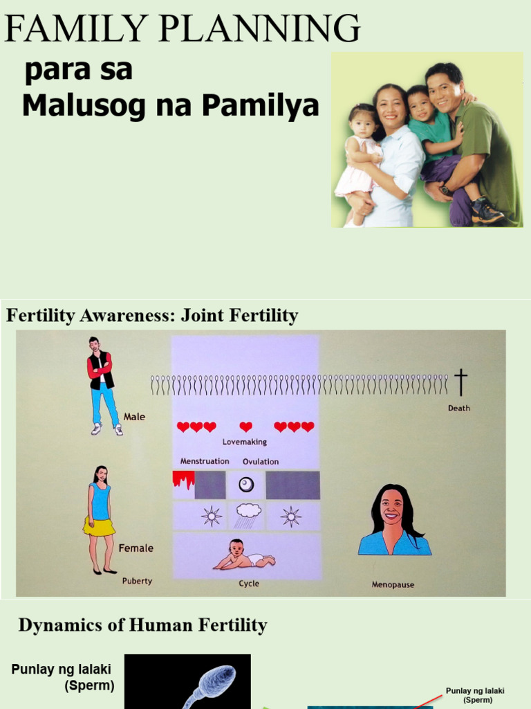 Family Planning Presentation | PDF