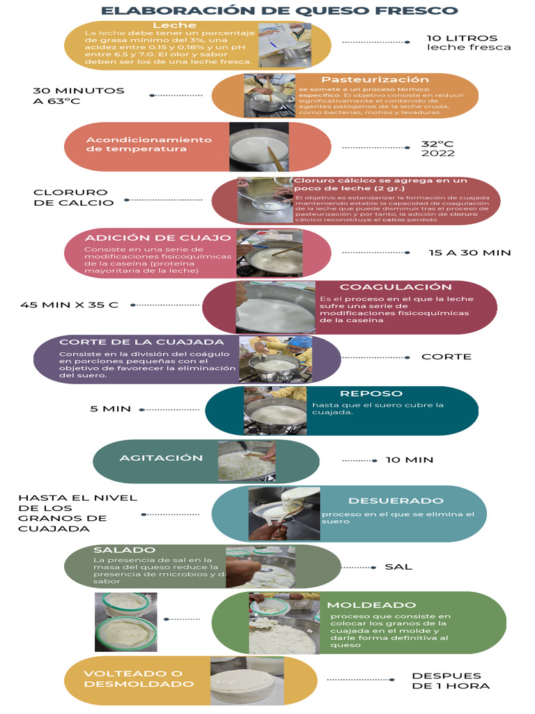 Elaboración de Queso Fresco | PDF | Queso | Leche