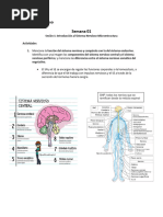 Escala de Pfirrmann | PDF