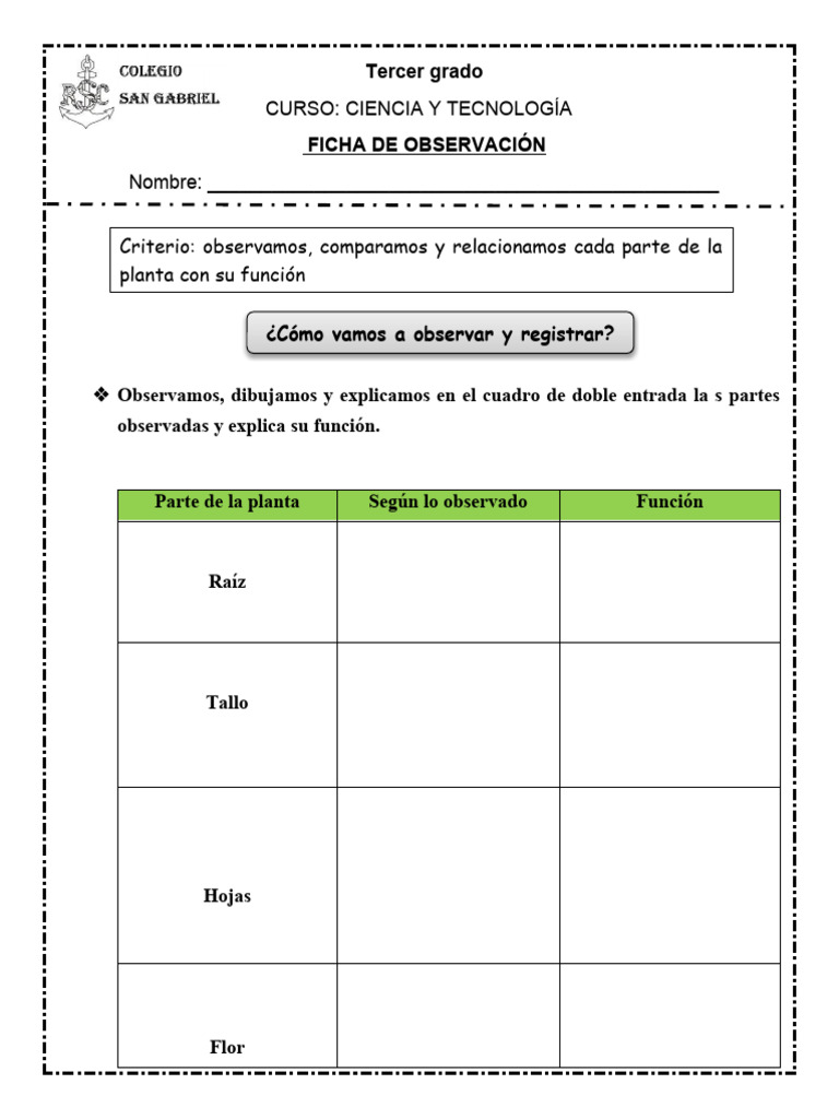 Ficha de Observación de Plantas | PDF