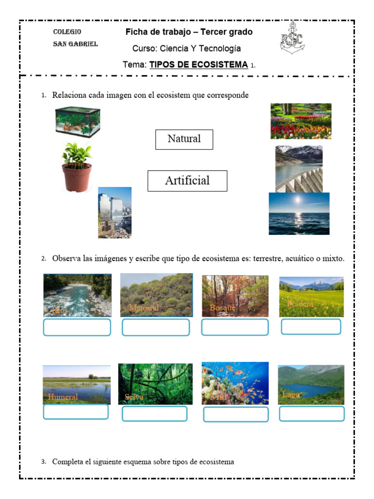 Ficha de Trabajo de Ciencia y Tecnologia - Tipos de Ecosistemas | PDF
