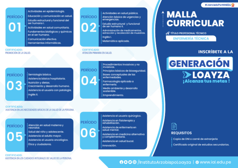 Malla Enfermeria | PDF | Enfermería | Medicina