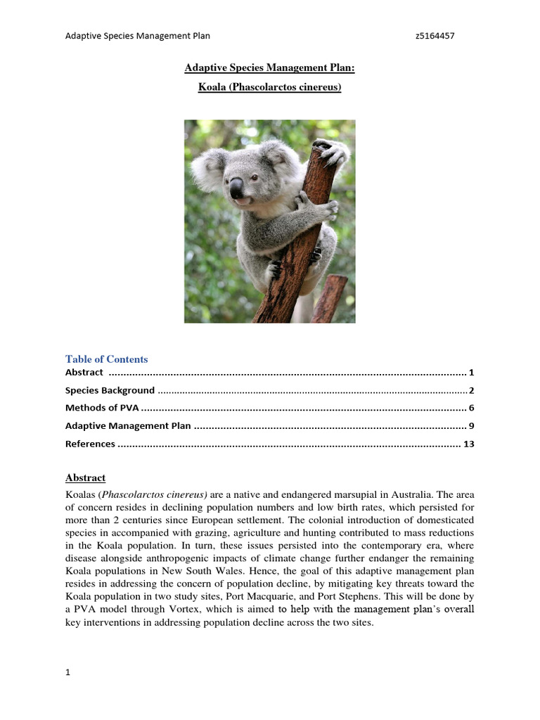 Adapative Species Management Plan Koala | PDF | Koala | Eucalyptus