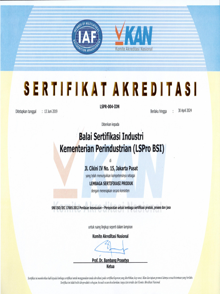 Sertifikat LSPR-004-IDN PT BSI | PDF