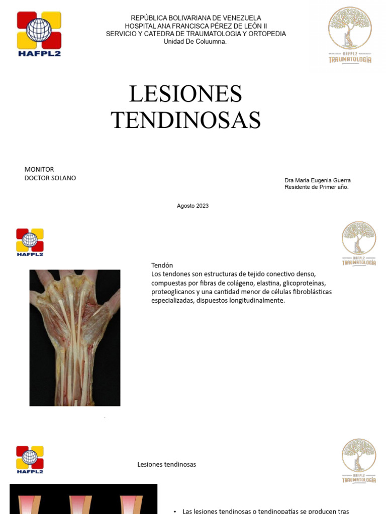 Tendinopatias | PDF | Tendón | Medicina CLINICA
