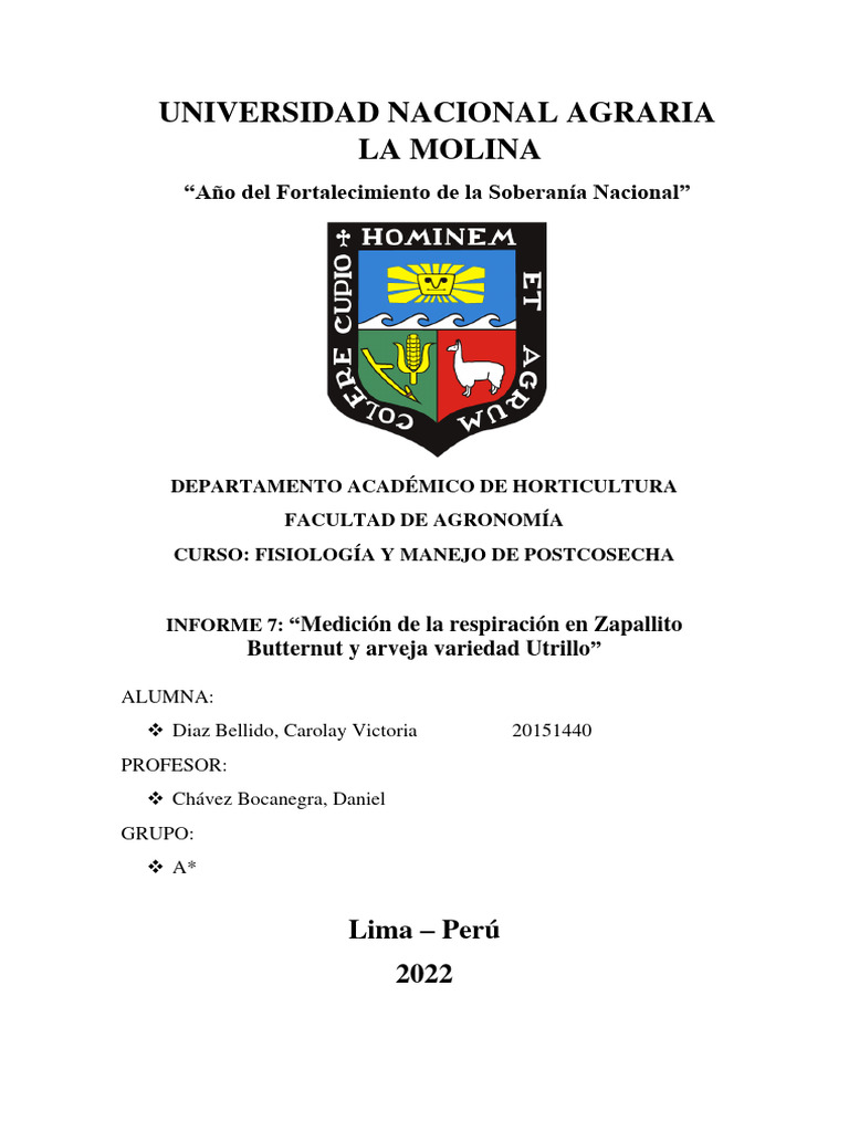 informe 7 Respiración | PDF