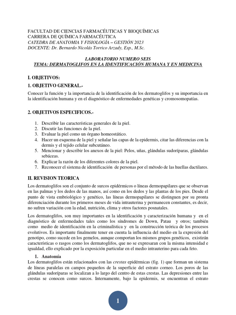 Protocolo 6 Dermatoglifos | Descargar gratis PDF | Piel | Huella dactilar