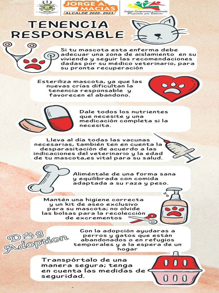 Infografía Consejos Cuidados Mascota Animal Pegatinas Doodle Ilustrado ...
