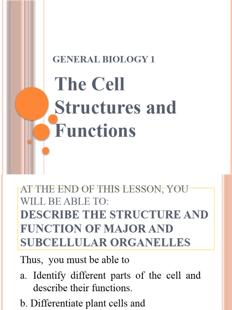 General Biology 1 Cell Structure | Download Free PDF | Mitochondrion ...