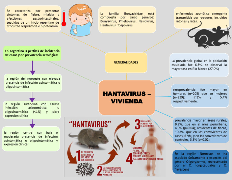 Hantavirus Pdf Medicina Microbiología