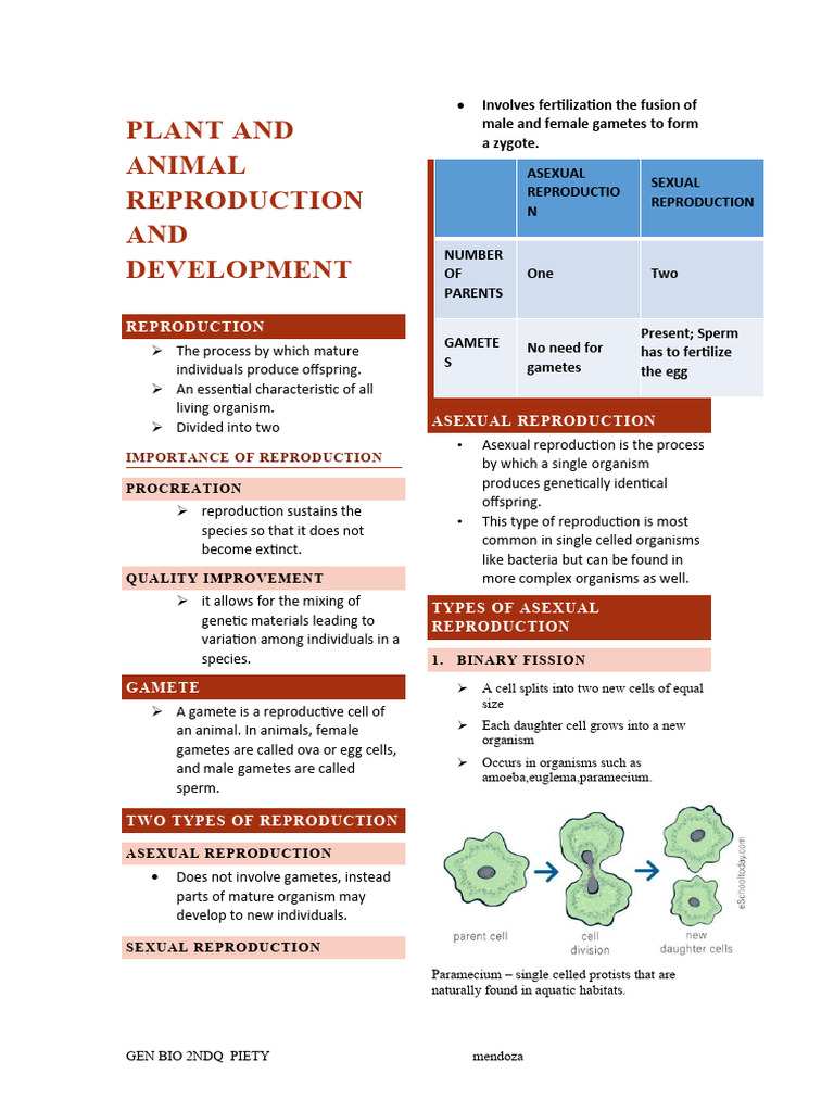 GenBio 2NDQ | PDF | Immune System | Phagocyte
