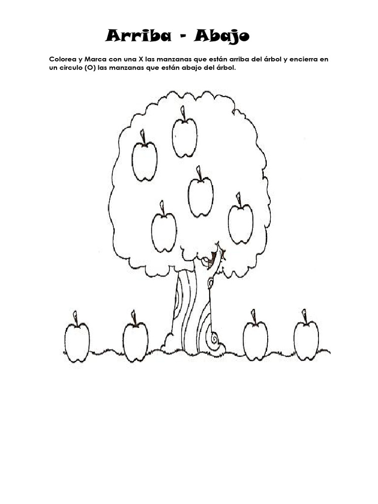 FICHA - Nociones Espaciales (ARRIBA ABAJO) | PDF