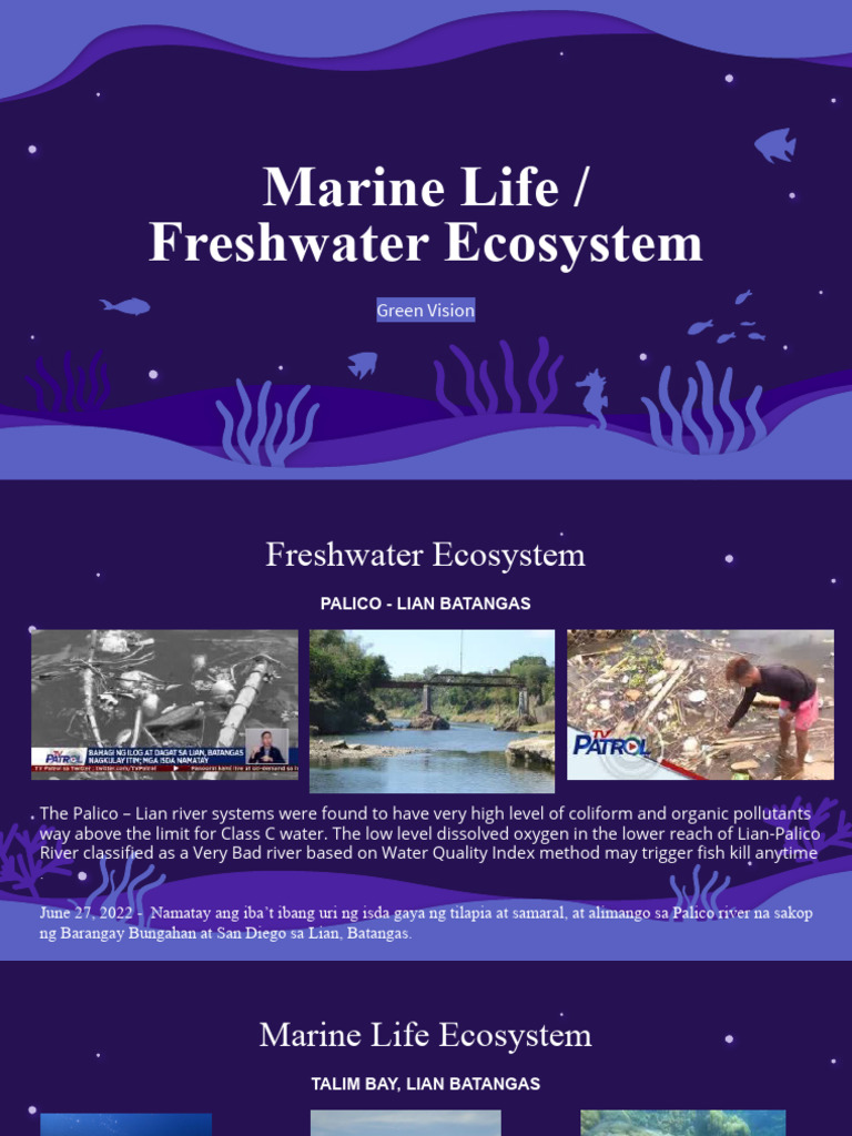 Marine Ecosystem | PDF