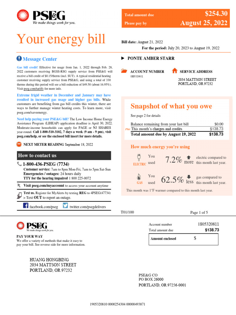 Your Energy Bill: Snapshot of What You Owe | PDF | Cheque | Watt